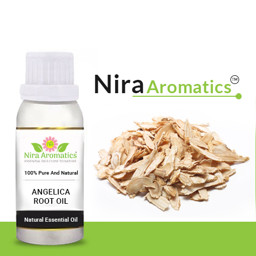 Buy Pure Angelica root Essential oil Direct from Wholesaler Supplier at ...