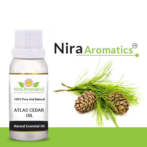 Buy Pure Atlas Cedar Essential Oil Direct from Wholesaler Supplier at ...